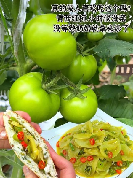 青番茄怎么炒_青番茄炒多久才熟-第1张图片-山城妙识