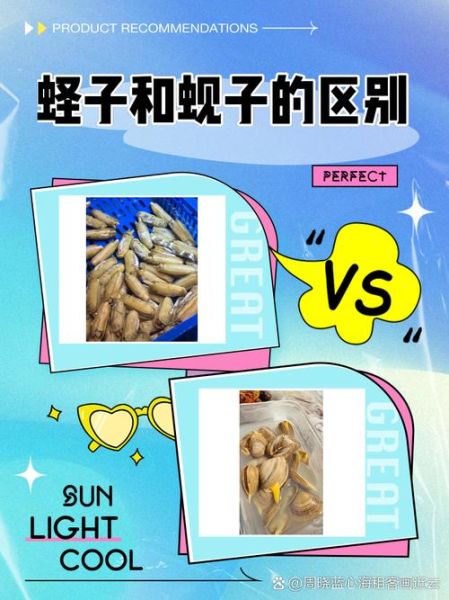 蚬字怎么读_蚬子与蚬壳区别-第3张图片-山城妙识