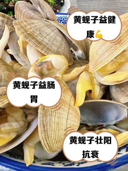 蚬字怎么读_蚬子与蚬壳区别-第2张图片-山城妙识