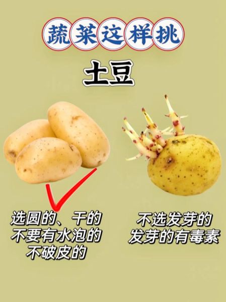 菜图片大全大图_如何挑选高清素材-第3张图片-山城妙识