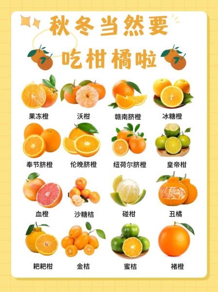 橘子的营养价值有哪些_吃橘子会上火吗-第1张图片-山城妙识