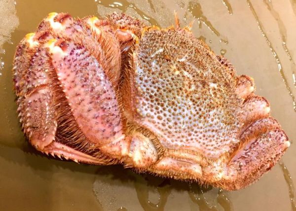 红毛蟹蒸多久_蒸红毛蟹最佳时间-第2张图片-山城妙识