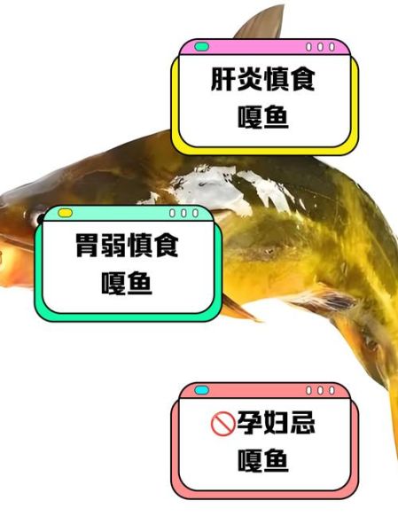 什么人不能吃嘎鱼_嘎鱼禁忌人群有哪些-第1张图片-山城妙识