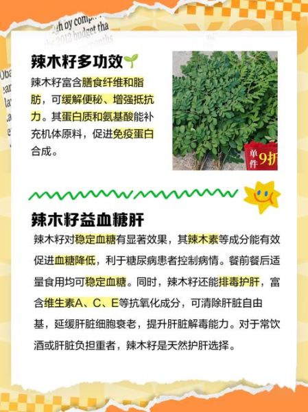 辣木籽吃后味道代表什么_辣木籽苦味正常吗-第1张图片-山城妙识