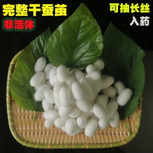 蚕茧图片大全_蚕茧颜色有几种-第2张图片-山城妙识