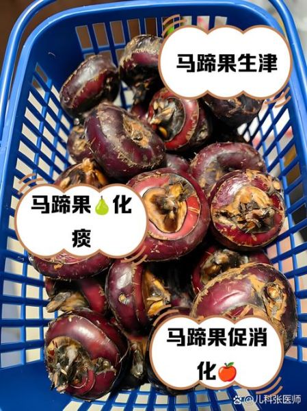马蹄图片果实_马蹄果实长什么样-第2张图片-山城妙识