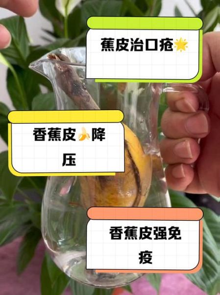香蕉治口腔溃疡小妙招_香蕉皮敷溃疡真的有用吗-第2张图片-山城妙识