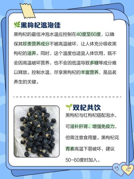 黑枸杞的功效与作用_黑枸杞泡水喝的正确方法-第1张图片-山城妙识