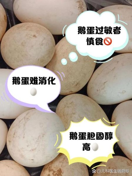 鹅蛋什么人不能吃_三种人不宜吃鹅蛋-第1张图片-山城妙识