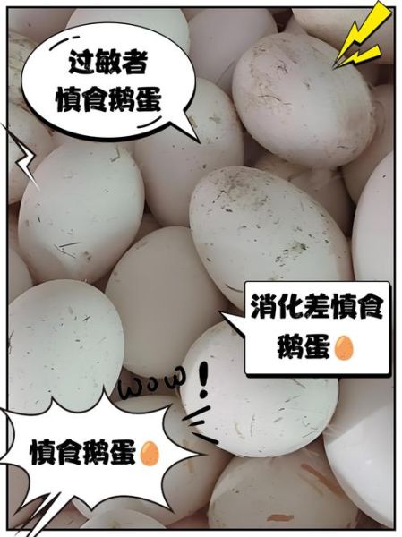 鹅蛋什么人不能吃_三种人不宜吃鹅蛋-第2张图片-山城妙识