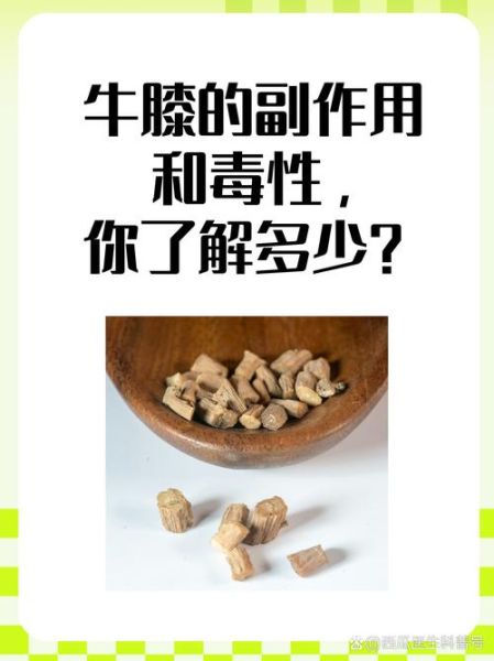 长期服用牛膝的危害_牛膝副作用有哪些-第1张图片-山城妙识
