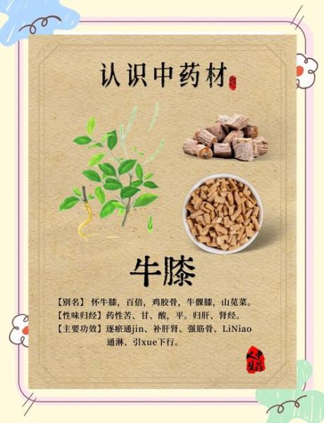 长期服用牛膝的危害_牛膝副作用有哪些-第2张图片-山城妙识