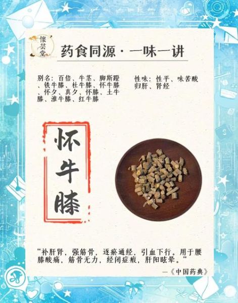长期服用牛膝的危害_牛膝副作用有哪些-第3张图片-山城妙识
