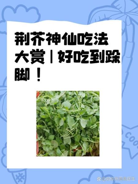 荆芥怎么吃_荆芥的吃法大全-第3张图片-山城妙识 荆芥怎么吃_荆芥的吃法大全-第3张图片-山城妙识