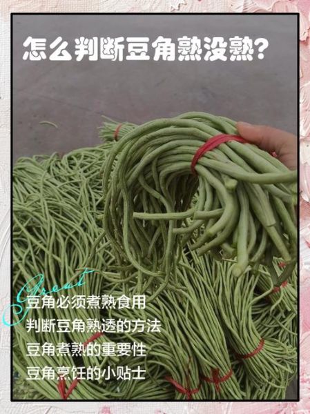 豆角焯水3分钟熟了吗_焯水后怎么判断是否熟透-第2张图片-山城妙识