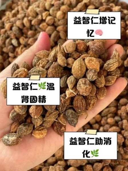 益智仁泡水喝的功效_益智仁泡水怎么喝才有效-第1张图片-山城妙识