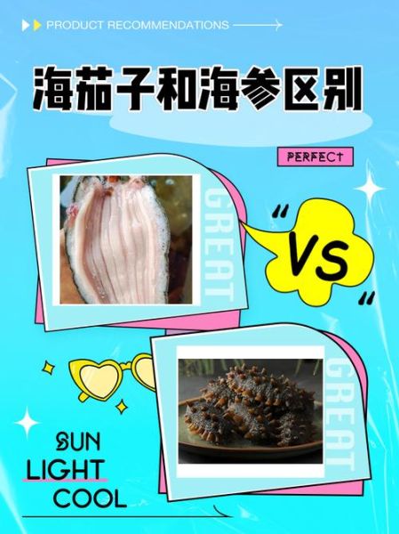 海茄子是什么_海茄子和海参区别-第1张图片-山城妙识