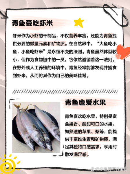 青鱼苗吃什么_青鱼苗饲料选择-第1张图片-山城妙识