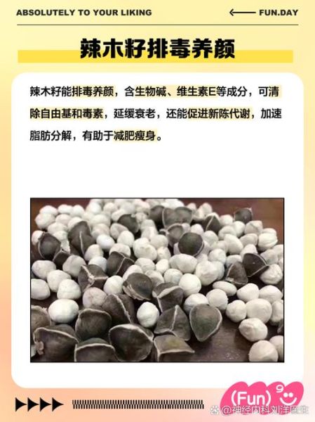辣木籽图片_辣木籽的功效与作用-第2张图片-山城妙识