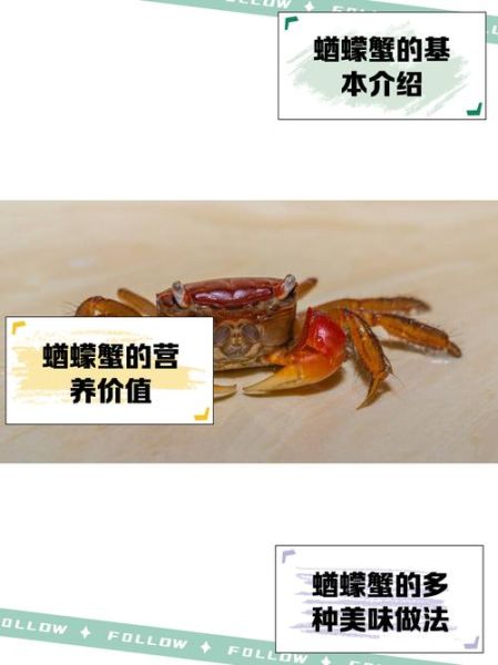 蟛蜞和螃蟹有什么区别_蟛蜞是不是螃蟹-第3张图片-山城妙识