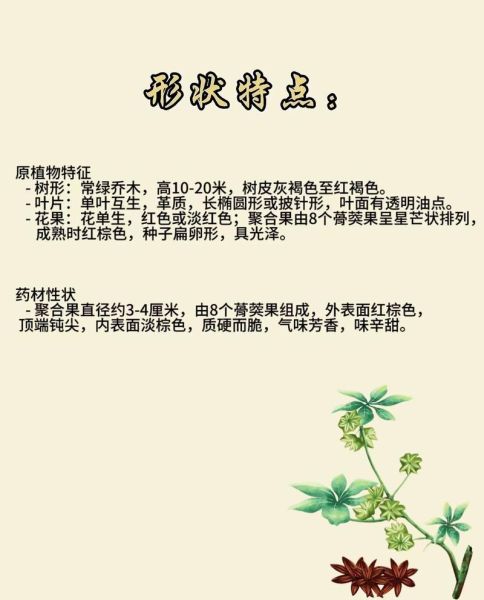 八角的功效与作用禁忌_香叶能替代八角吗-第1张图片-山城妙识 八角的功效与作用禁忌_香叶能替代八角吗-第1张图片-山城妙识