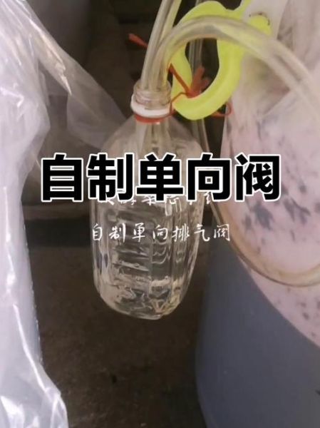 自制干红怎么做_干红酿造常见问题-第2张图片-山城妙识