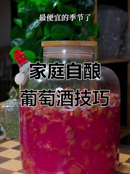 自制干红怎么做_干红酿造常见问题-第3张图片-山城妙识