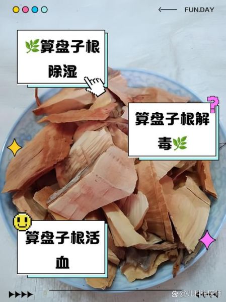 算盘子根草药功效_算盘子根怎么用-第1张图片-山城妙识