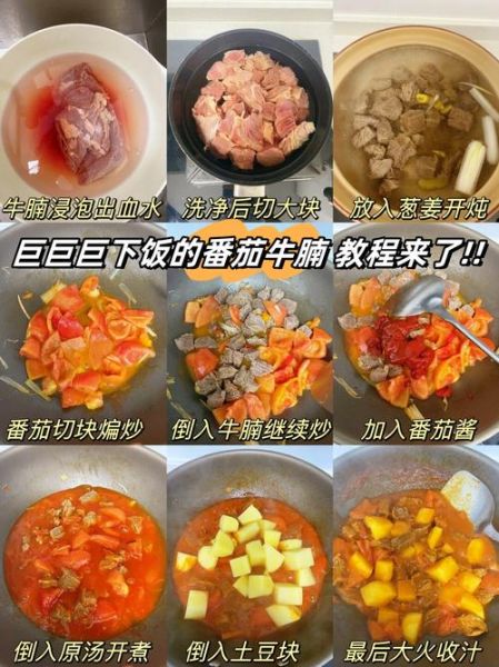 牛腩西红柿怎么炖才烂_家常做法步骤详解-第1张图片-山城妙识