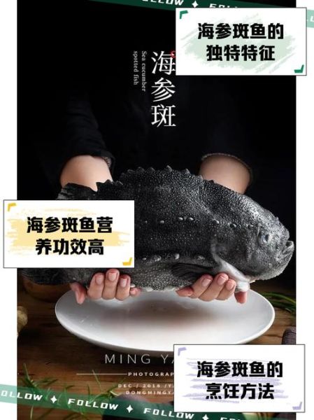 海参斑鱼怎么吃_海参斑鱼的做法大全-第1张图片-山城妙识