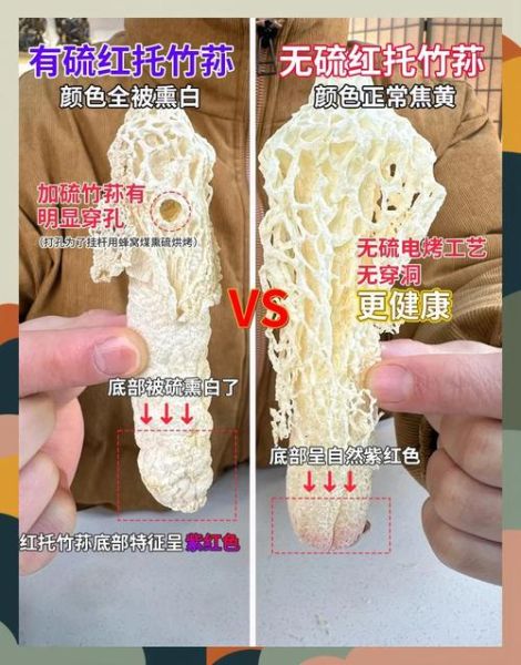 竹荪种植骗局是真的吗_如何识别竹荪种植骗局-第2张图片-山城妙识