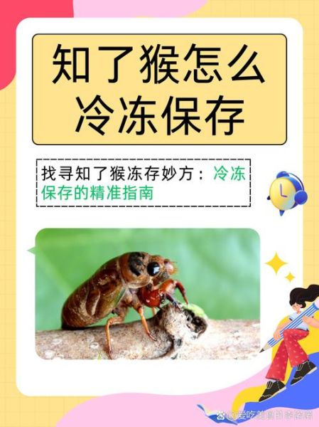 知了猴的营养价值_知了猴吃了有什么好处-第3张图片-山城妙识