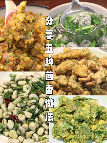 茴香怎么吃_茴香的做法大全-第2张图片-山城妙识