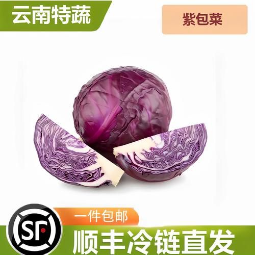 橄榄菜和包菜的区别_哪个更营养-第3张图片-山城妙识