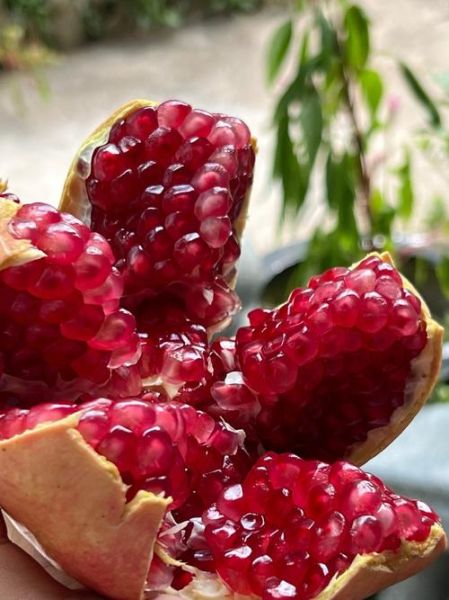 石榴图片大全_石榴品种图片怎么区分-第2张图片-山城妙识