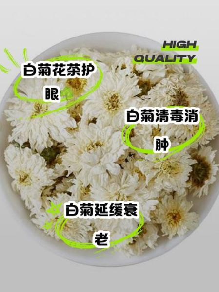 白菊花茶的功效与作用_白菊花茶能天天喝吗-第2张图片-山城妙识