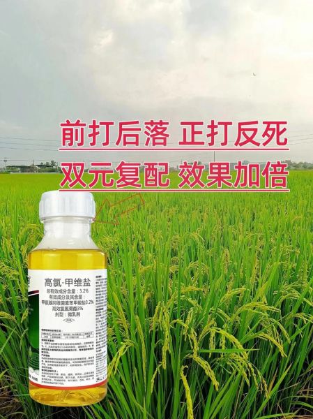 甜菜夜蛾防治方法_甜菜夜蛾用什么药最有效-第1张图片-山城妙识