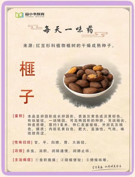 香榧是什么东西_香榧怎么吃-第1张图片-山城妙识