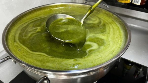 仙草蜜怎么做_仙草蜜功效与禁忌-第1张图片-山城妙识