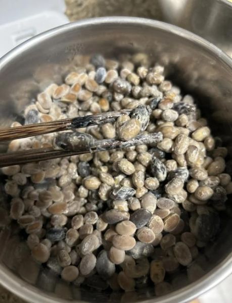 自制纳豆怎么做_纳豆发酵温度是多少-第1张图片-山城妙识