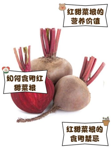 甜菜根多少钱一斤_甜菜根价格走势-第2张图片-山城妙识 甜菜根多少钱一斤_甜菜根价格走势-第2张图片-山城妙识