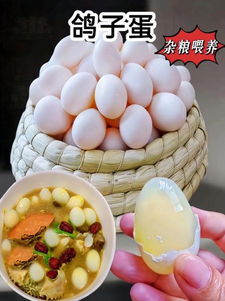 鸽子蛋壮阳效果真的好吗_鸽子蛋怎么吃最补肾-第2张图片-山城妙识