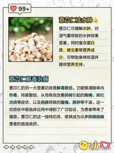 薏苡仁的功效与作用_薏苡仁主治哪些疾病-第2张图片-山城妙识 薏苡仁的功效与作用_薏苡仁主治哪些疾病-第2张图片-山城妙识