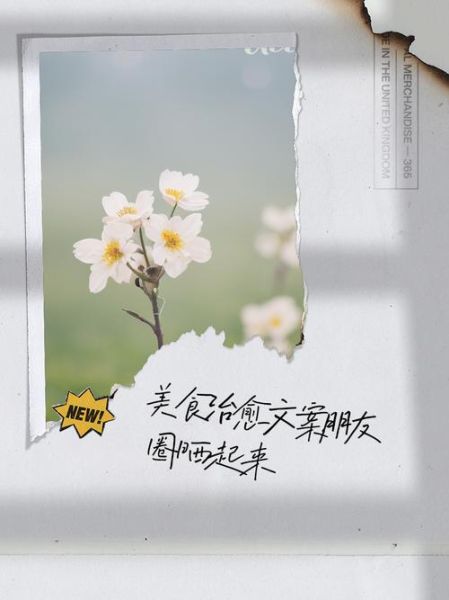 美食的句子唯美短句_如何写出打动人心的文案-第2张图片-山城妙识