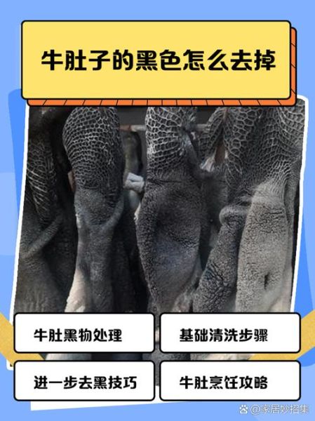 洗牛肚怎么洗干净_牛肚清洗的正确方法-第3张图片-山城妙识