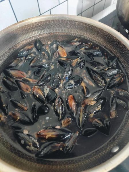 海虹图片大全大图_海虹怎么做好吃-第2张图片-山城妙识