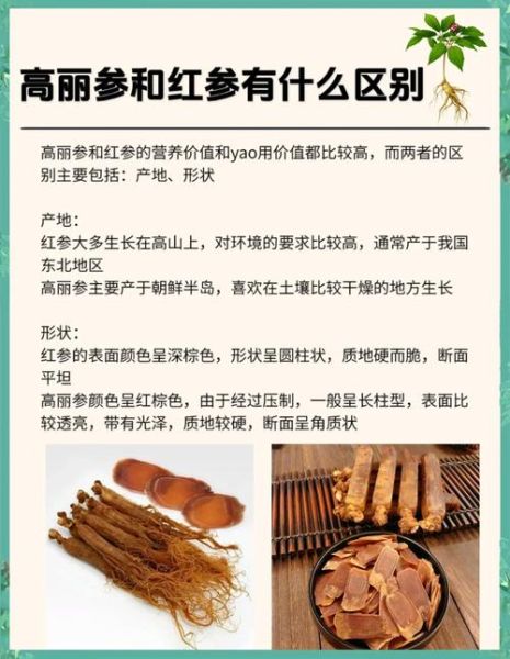 高丽参适合什么人吃_高丽参的功效与作用有哪些-第1张图片-山城妙识