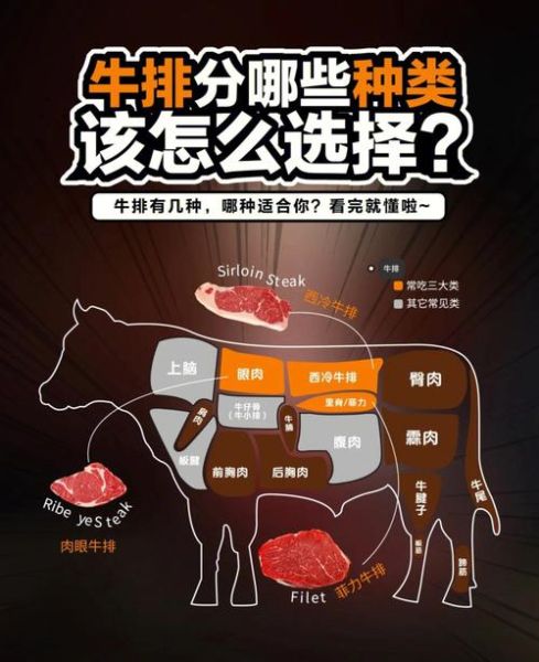 菲力牛排怎么做才嫩_菲力牛排和西冷牛排区别-第2张图片-山城妙识