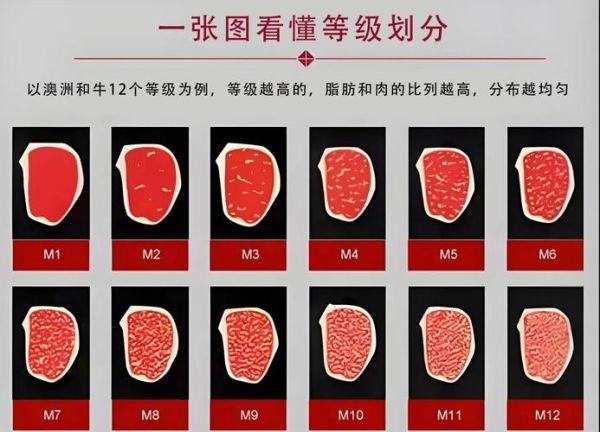 牛排种类有哪些_牛排等级怎么划分-第2张图片-山城妙识