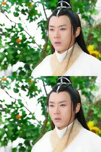 花姑子演员表_张庭沈晓海主演名单-第3张图片-山城妙识